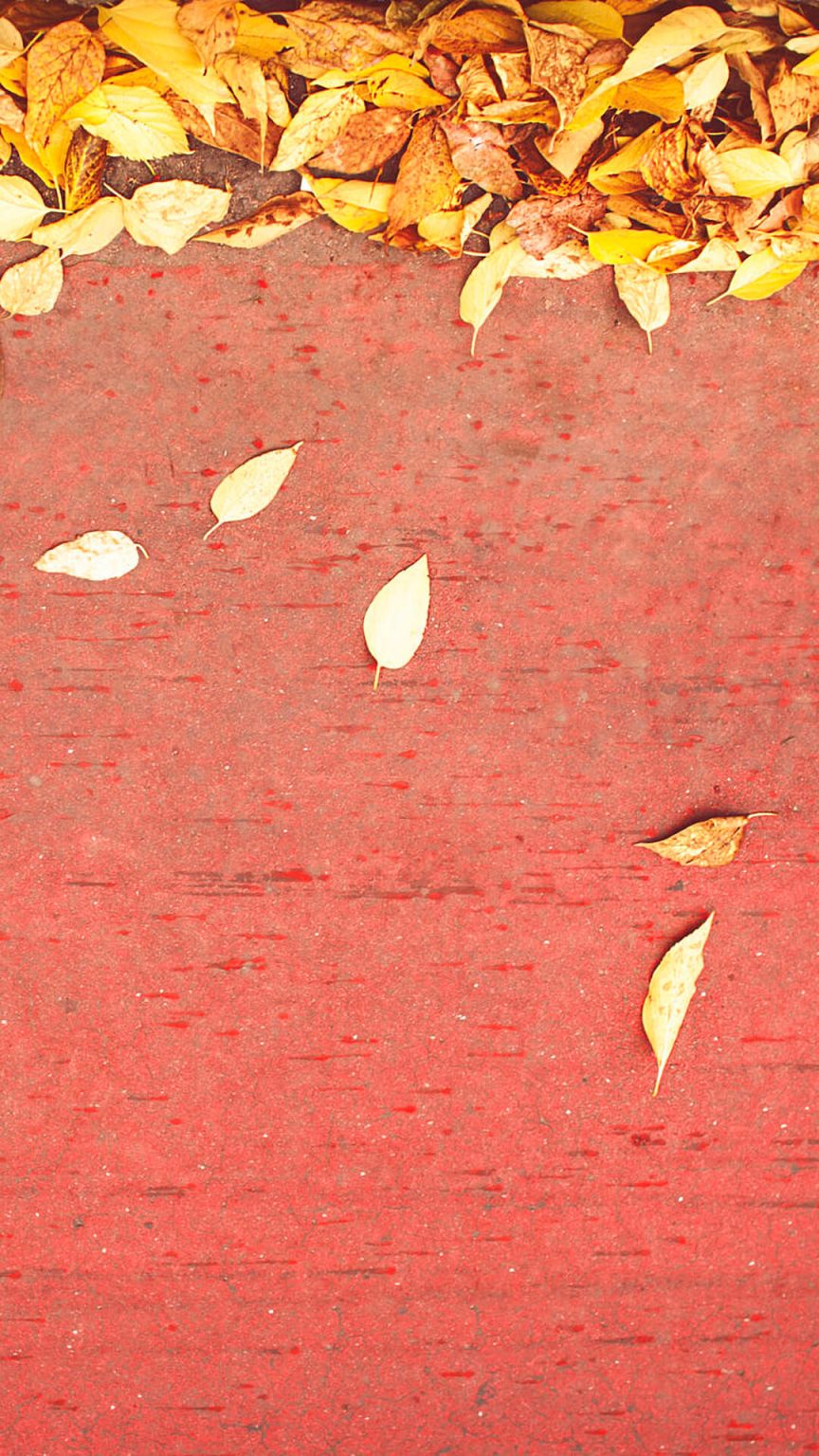 31 Fall Phone Wallpapers Pretty And Cute