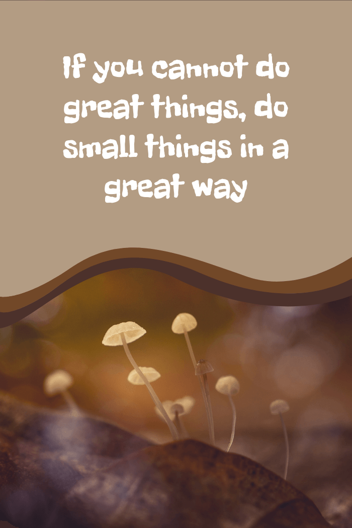 27 Positive Quotes For Life Encouragement To Help You Change