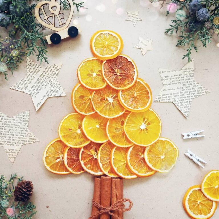 12 Energetic Dried Orange Ideas for Christmas