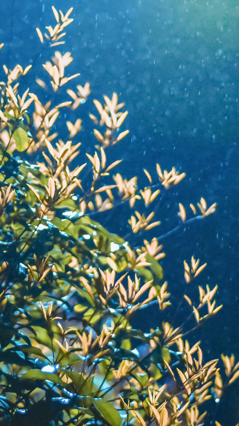 25 Best HD Spring Phone Wallpapers