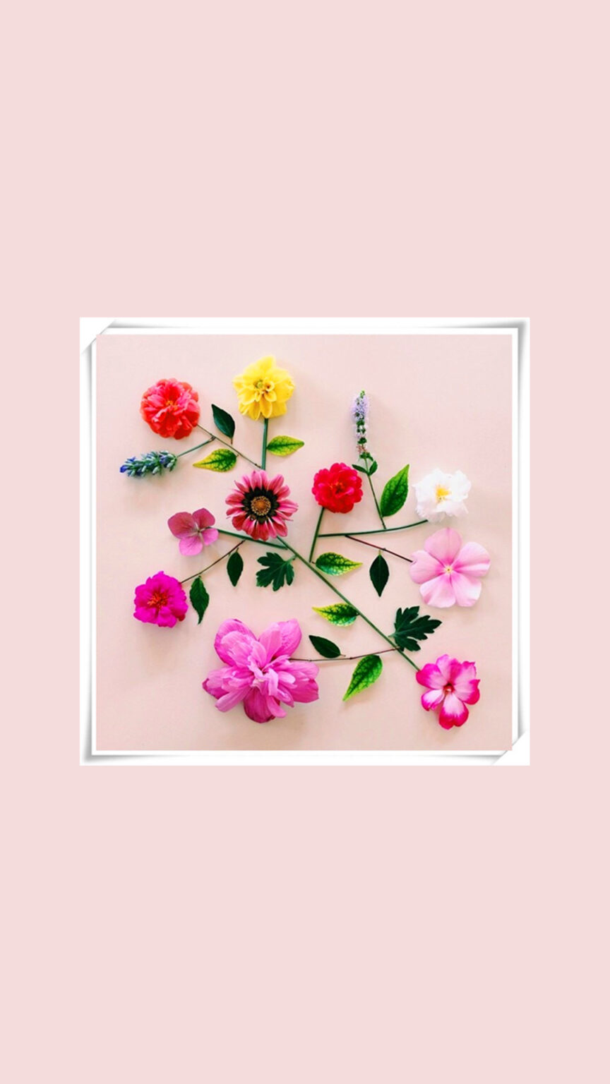 25 Best HD Spring Phone Wallpapers