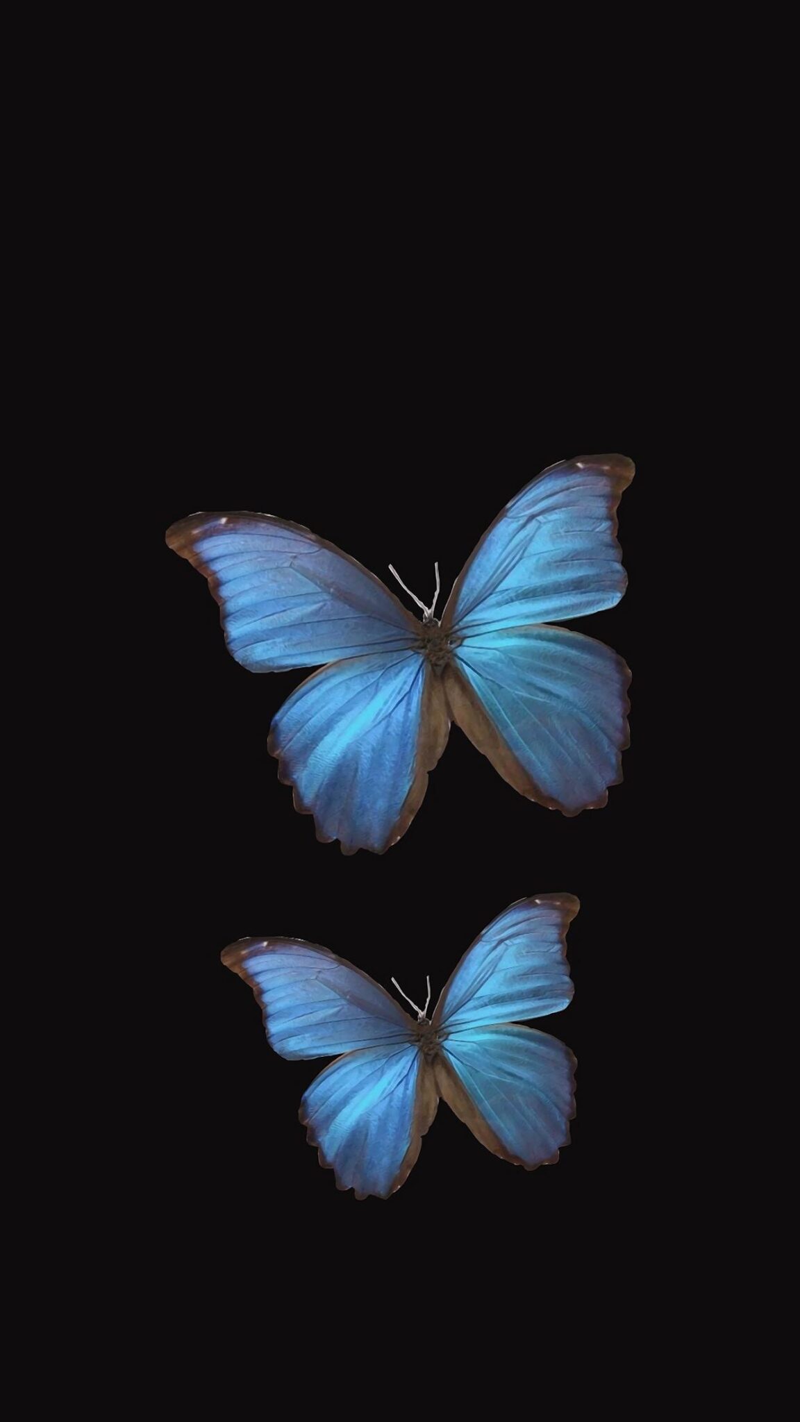 22 Stunning Butterfly Phone Wallpapers