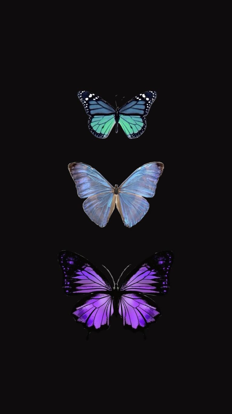 22 Stunning Butterfly Phone Wallpapers