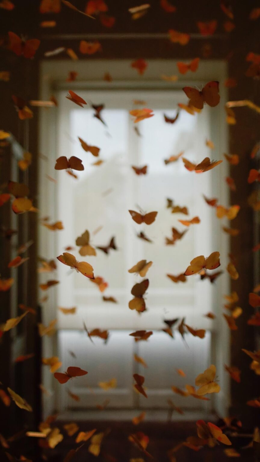 22 Stunning Butterfly Phone Wallpapers