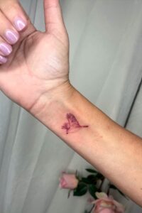 12 Best Small Cardinal Tattoo Ideas