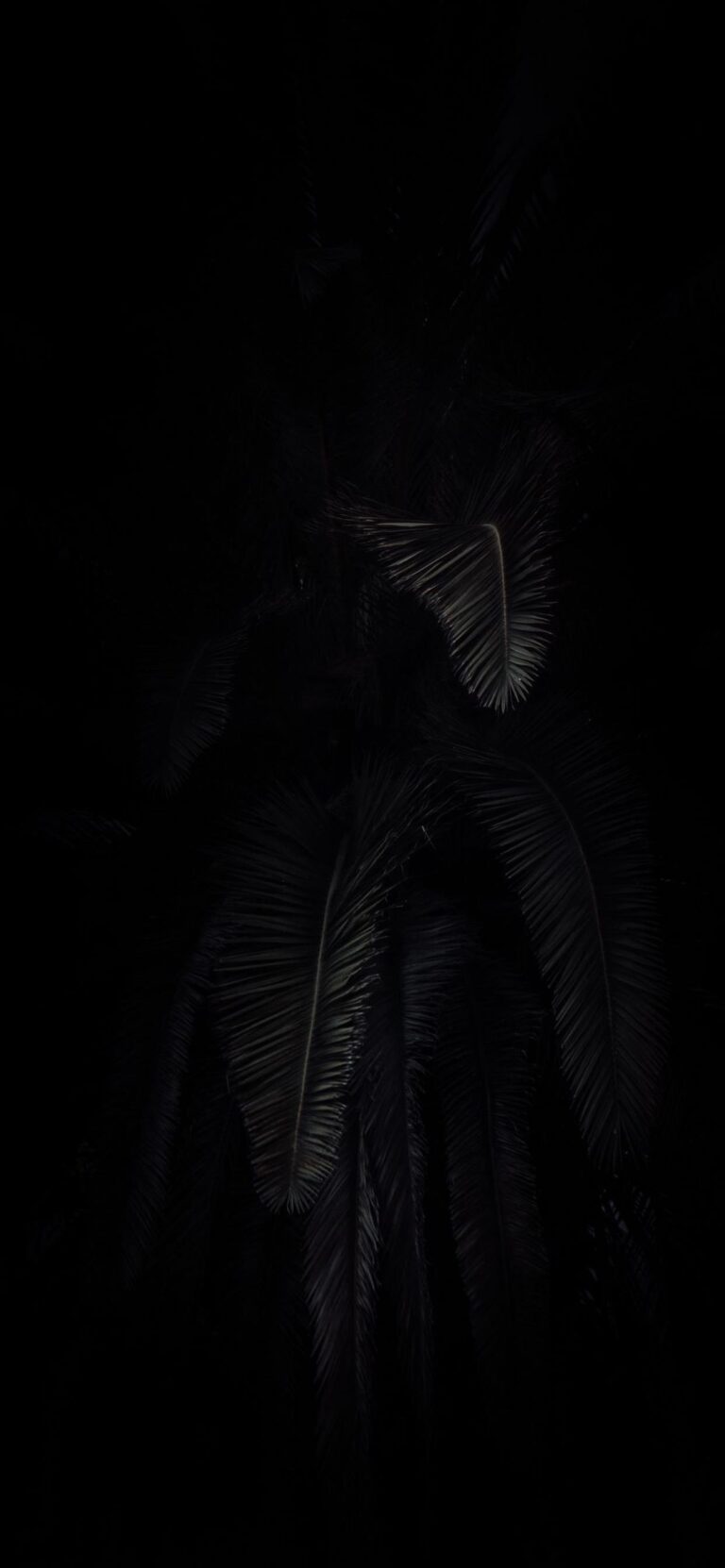 39 HD Dark Phone Wallpapers You'll Love