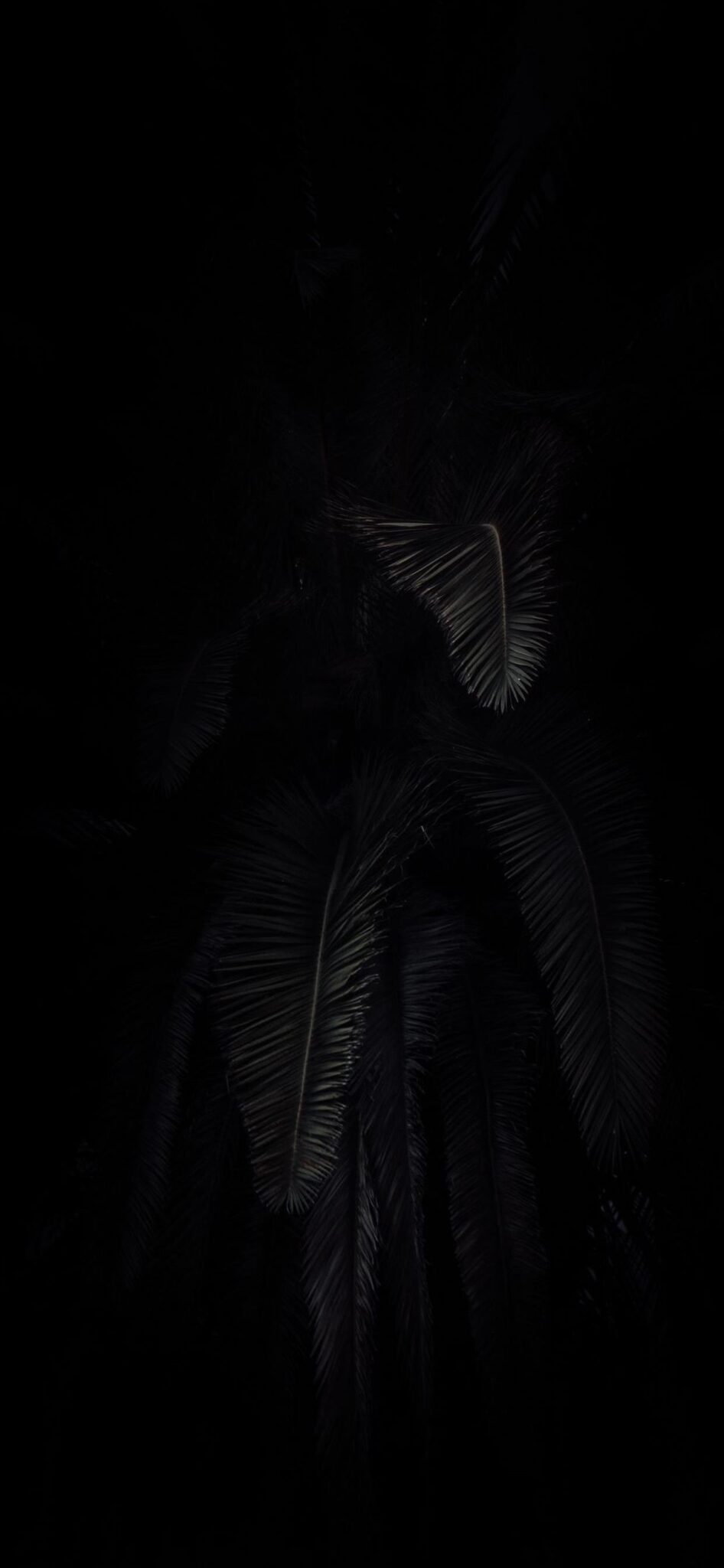 39 HD Dark Phone Wallpapers You'll Love