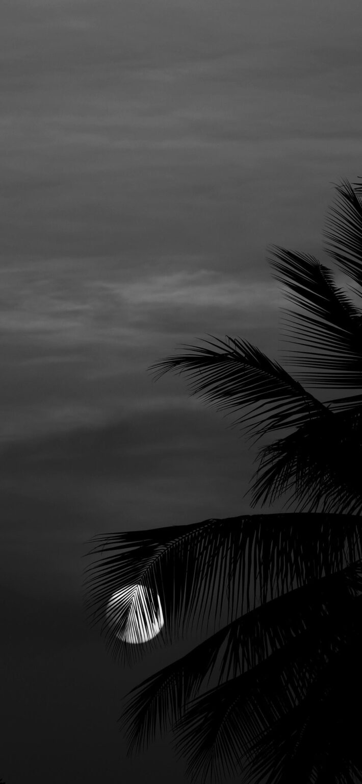 32 Best HD Moon Phone Wallpapers