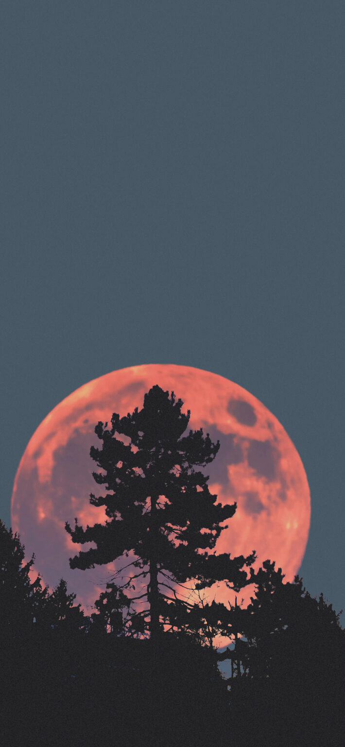 32 Best HD Moon Phone Wallpapers