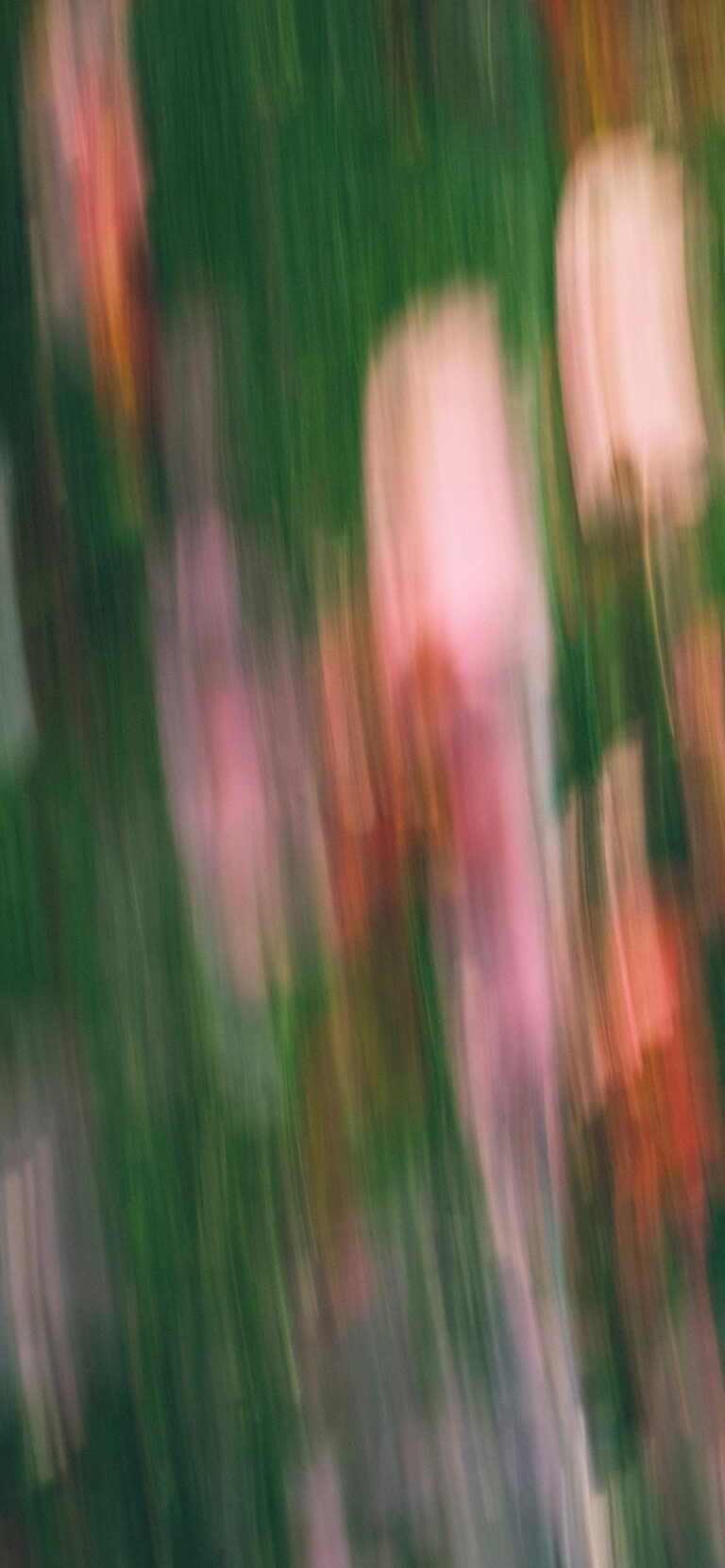 30 Perfect Green Tone HD Phone Wallpapers