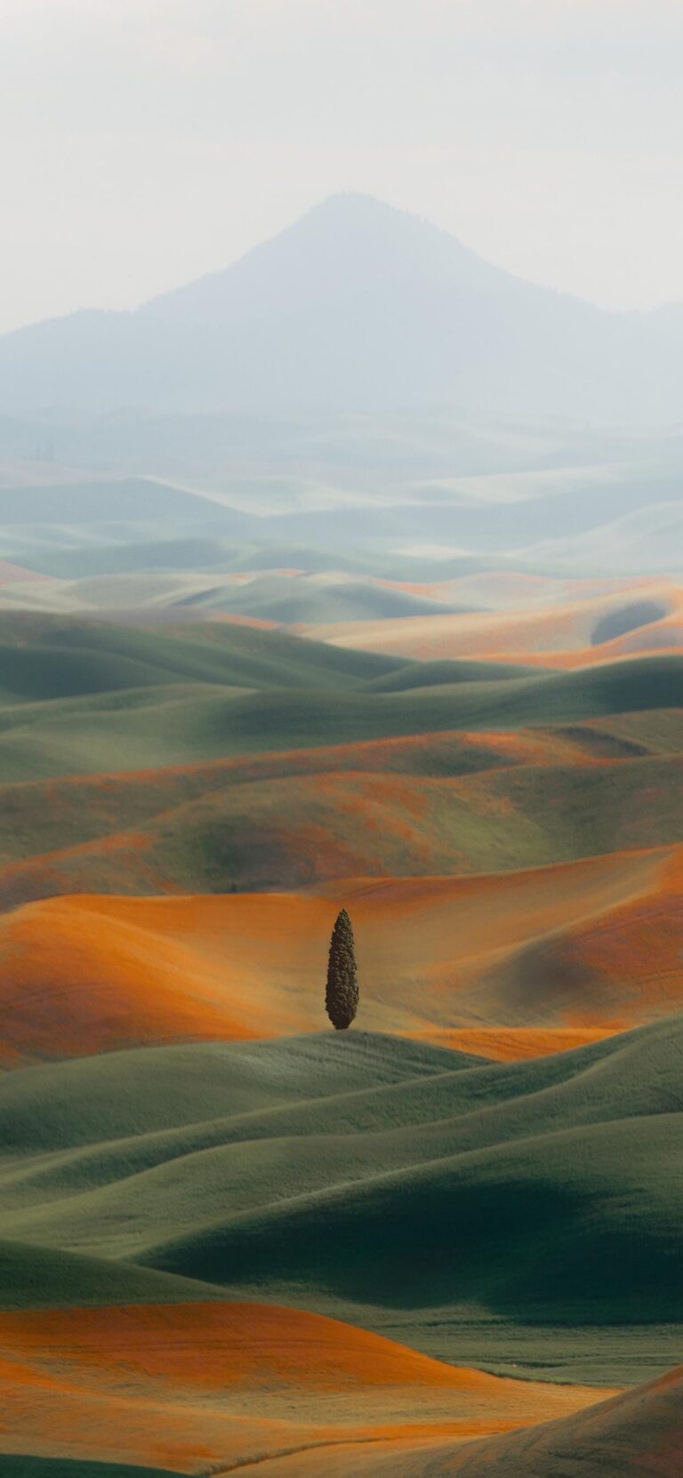 30 Perfect Green Tone HD Phone Wallpapers