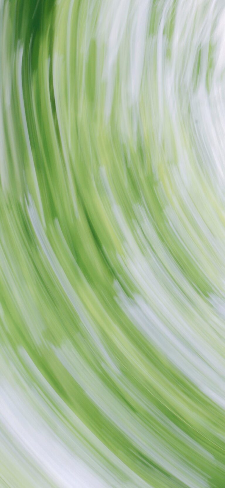 30 Perfect Green Tone HD Phone Wallpapers