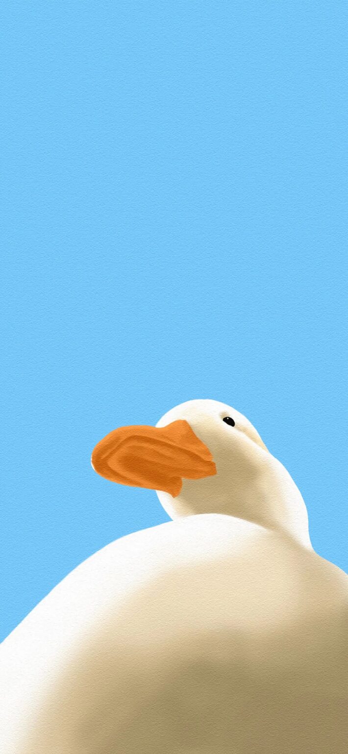 50 Fun HD Phone Wallpapers