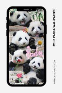 32 Cute HD Panda Phone Wallpapers