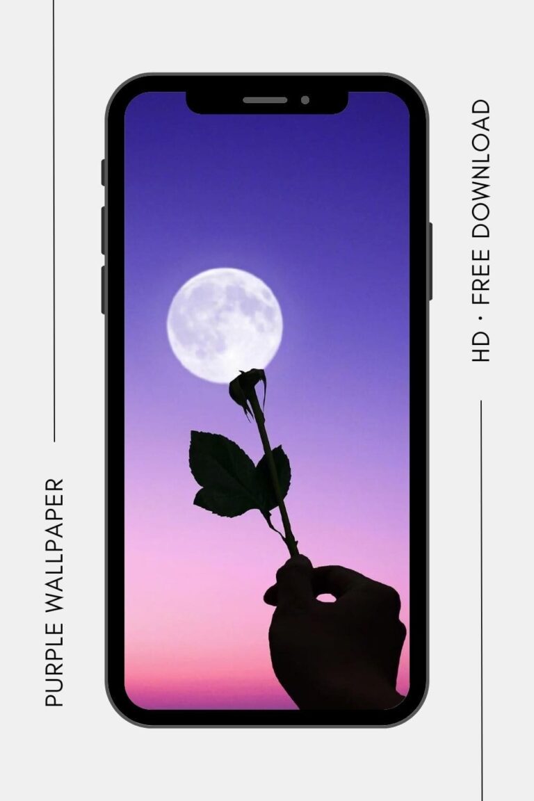 30+ Stunning HD Purple Tone Phone Wallpapers