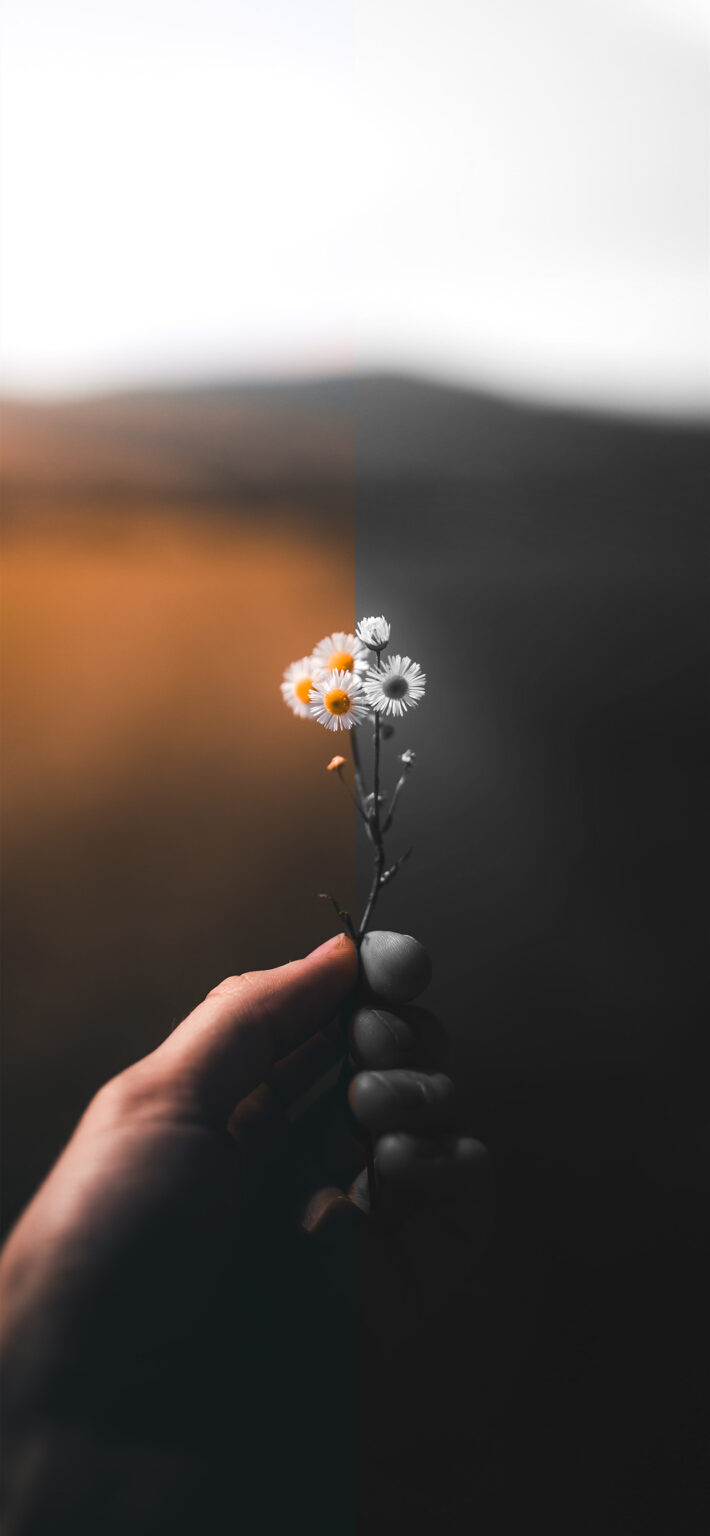 19 Unique Phone Wallpapers You Don't Want to Miss