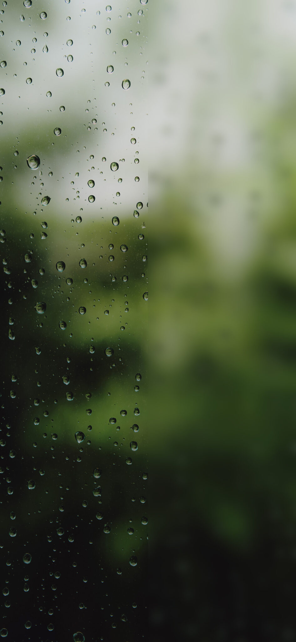 19 Unique Phone Wallpapers You Don't Want to Miss